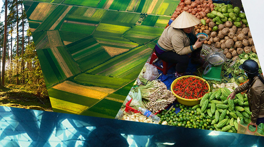 Thematic VISP Track – Visiting International Student Program – UW–Madison