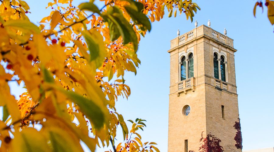 Thematic VISP Track – Visiting International Student Program – UW–Madison