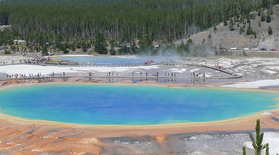 Thematic VISP Track – Visiting International Student Program – UW–Madison